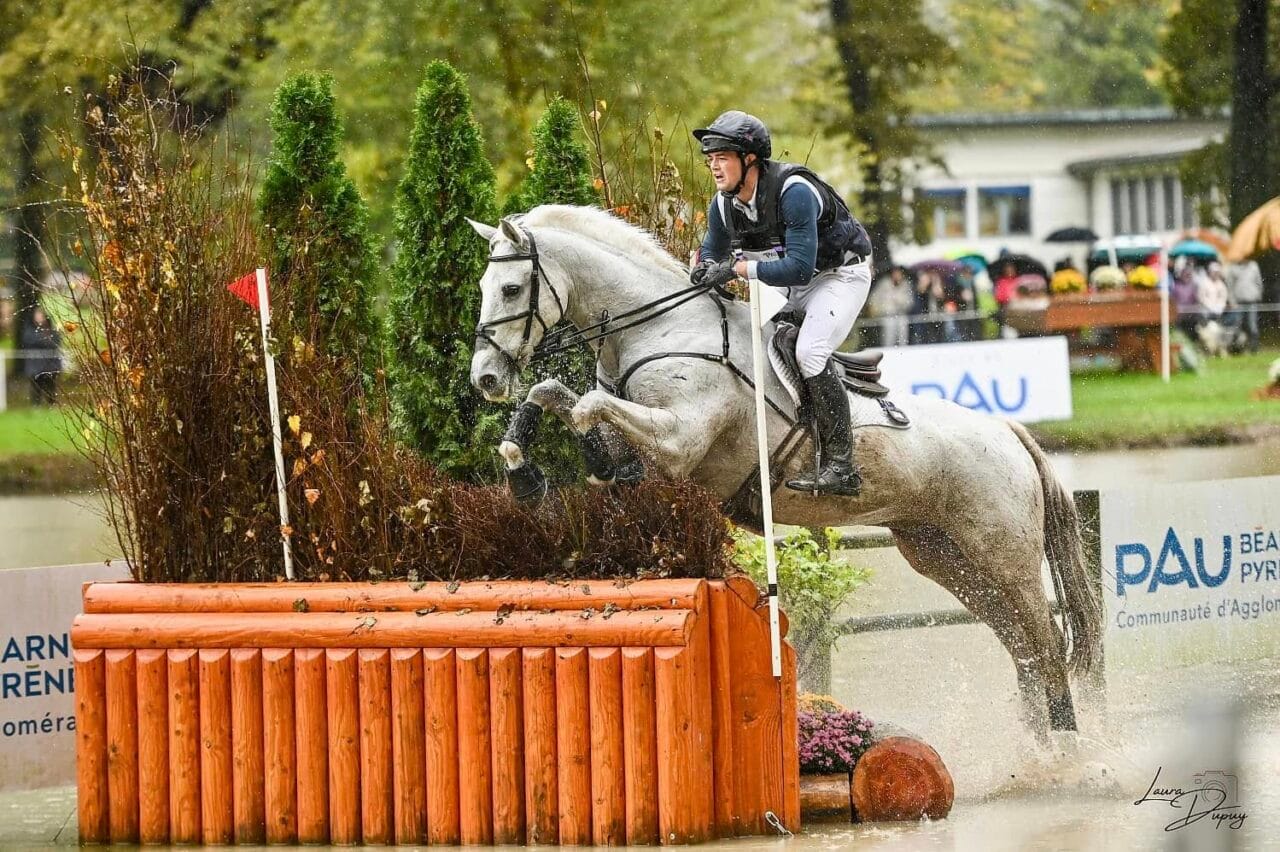 Alex Tordoff | Hyde Lodge Horses